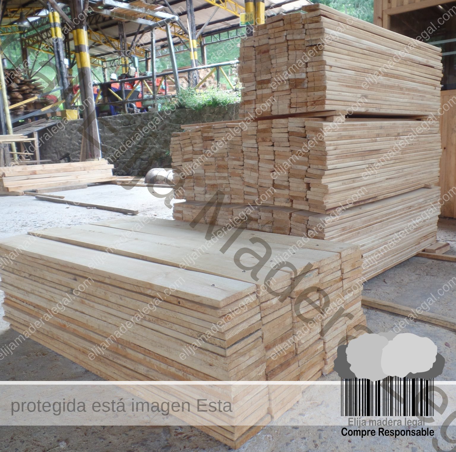 Polín – Maderas al Maestro – Elija Madera Legal