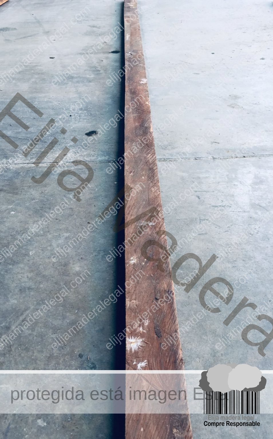 Talicon – Maderas El Modelo – Elija Madera Legal