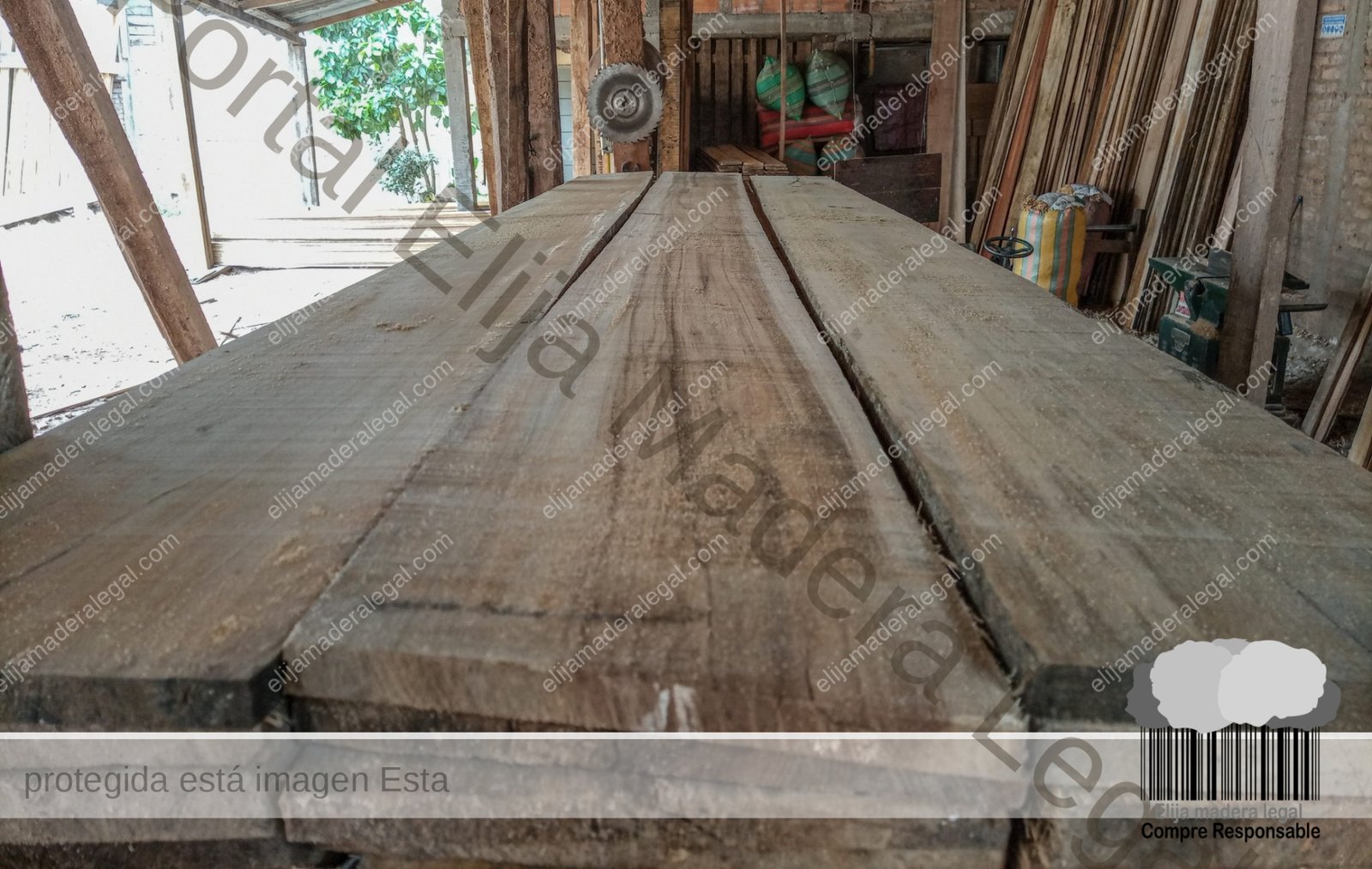 Talicon – Maderas El Modelo – Elija Madera Legal